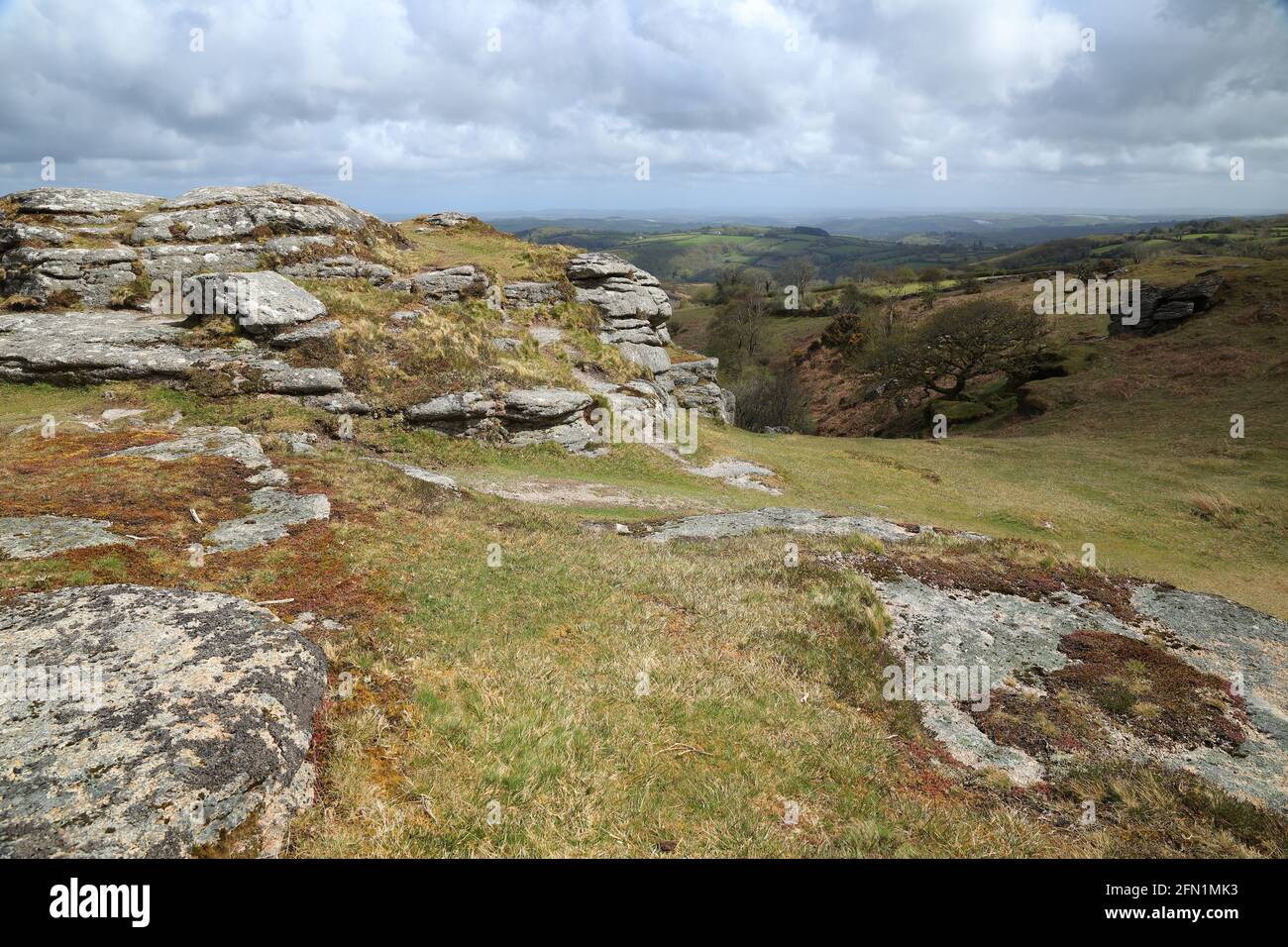 Sharp tor, spring view looking down the Dart Gorge, Dartmoor, Devon ...