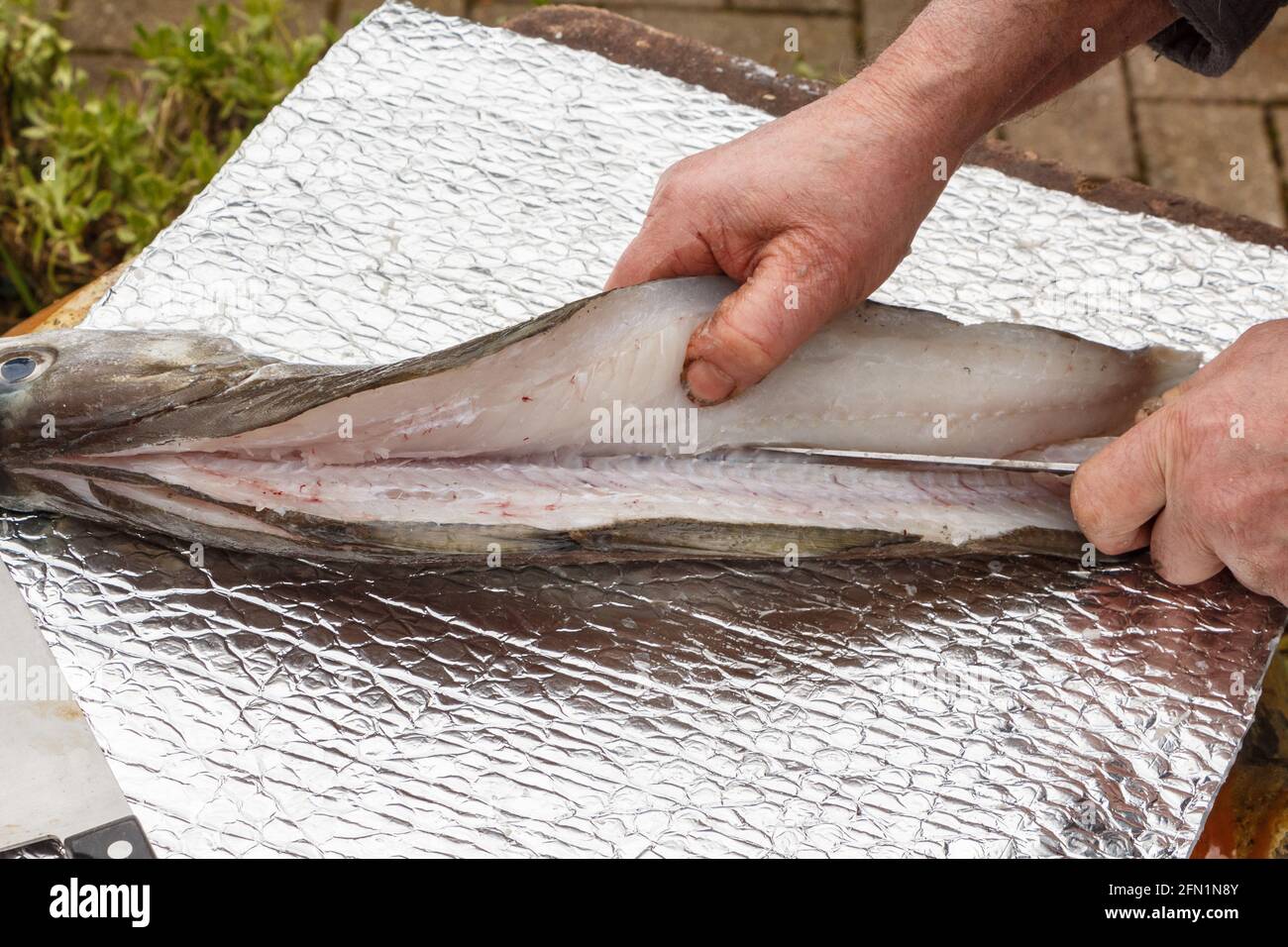 Pollack fillet hi-res stock photography and images - Alamy