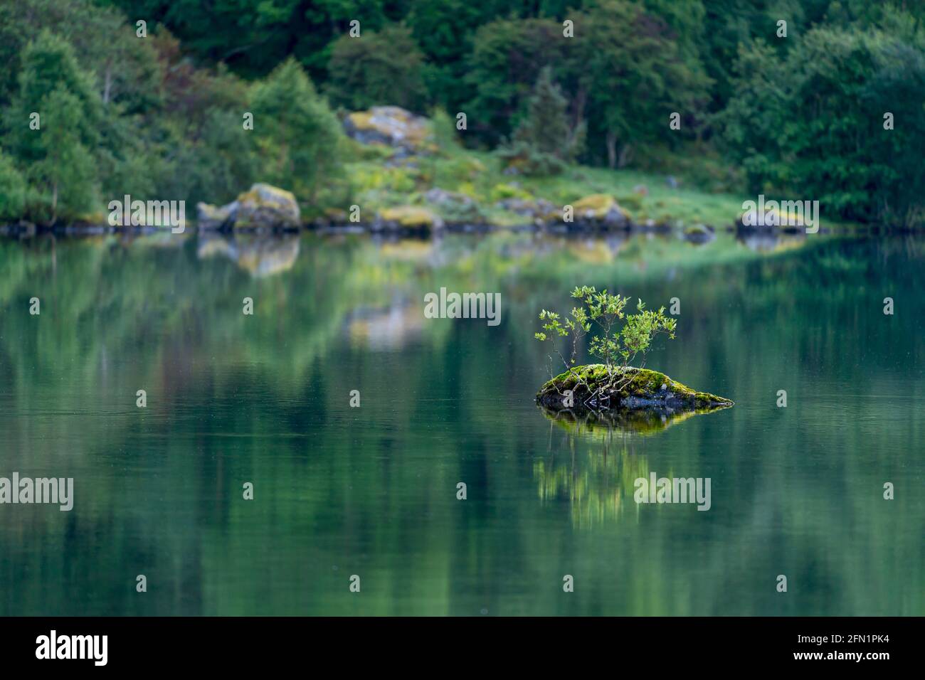 FLO, NORWAY - 2020 AUGUST 10. Beautiful lake with green water and ...