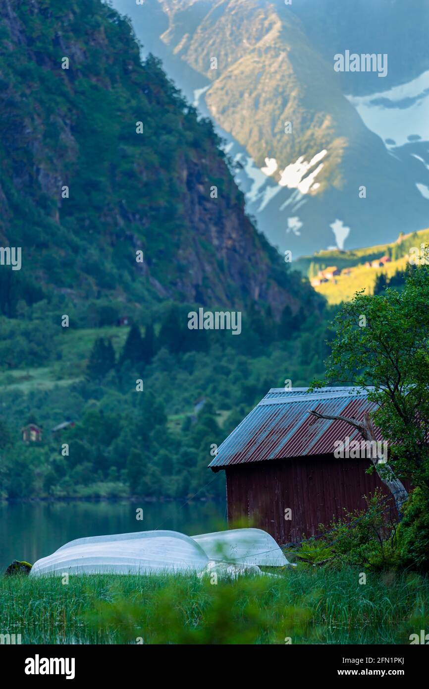 Flo early hi-res stock photography and images - Alamy