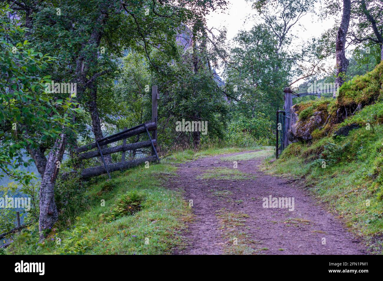FLO, NORWAY - 2020 AUGUST 10. Country road in the Norwegian forest ...