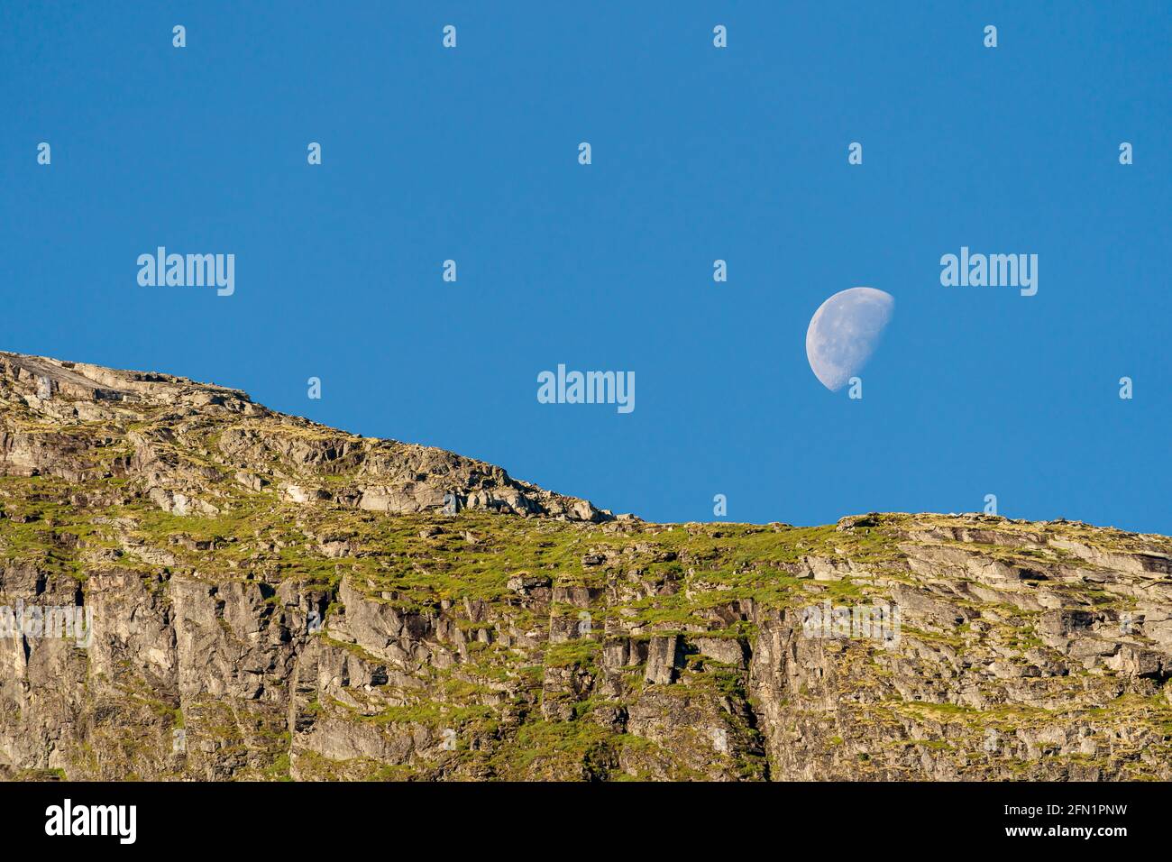 Flo early hi-res stock photography and images - Alamy