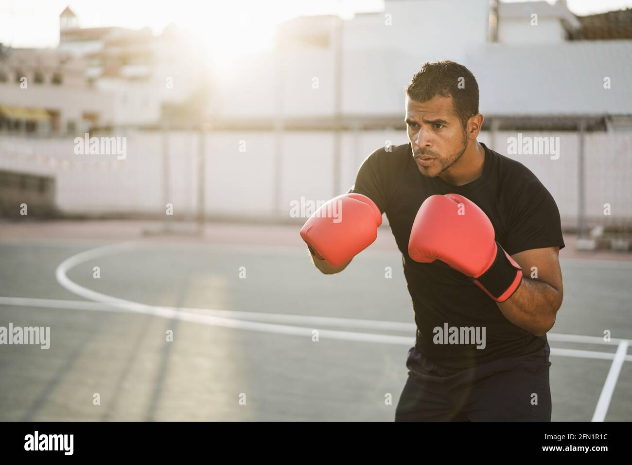 Boxer training outdoor hi-res stock photography and images - Alamy