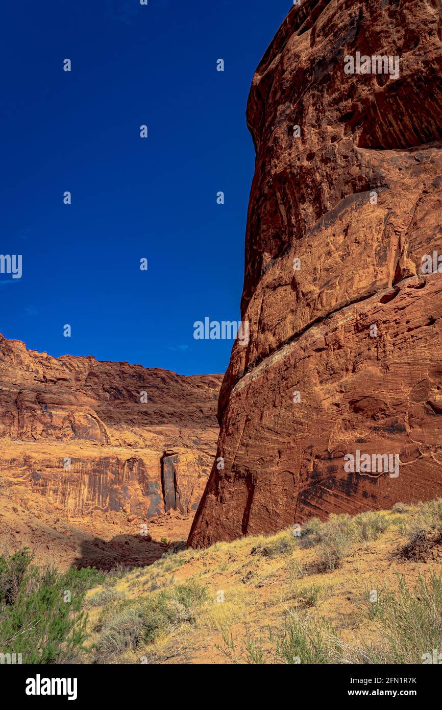Colorado rive hi-res stock photography and images - Alamy