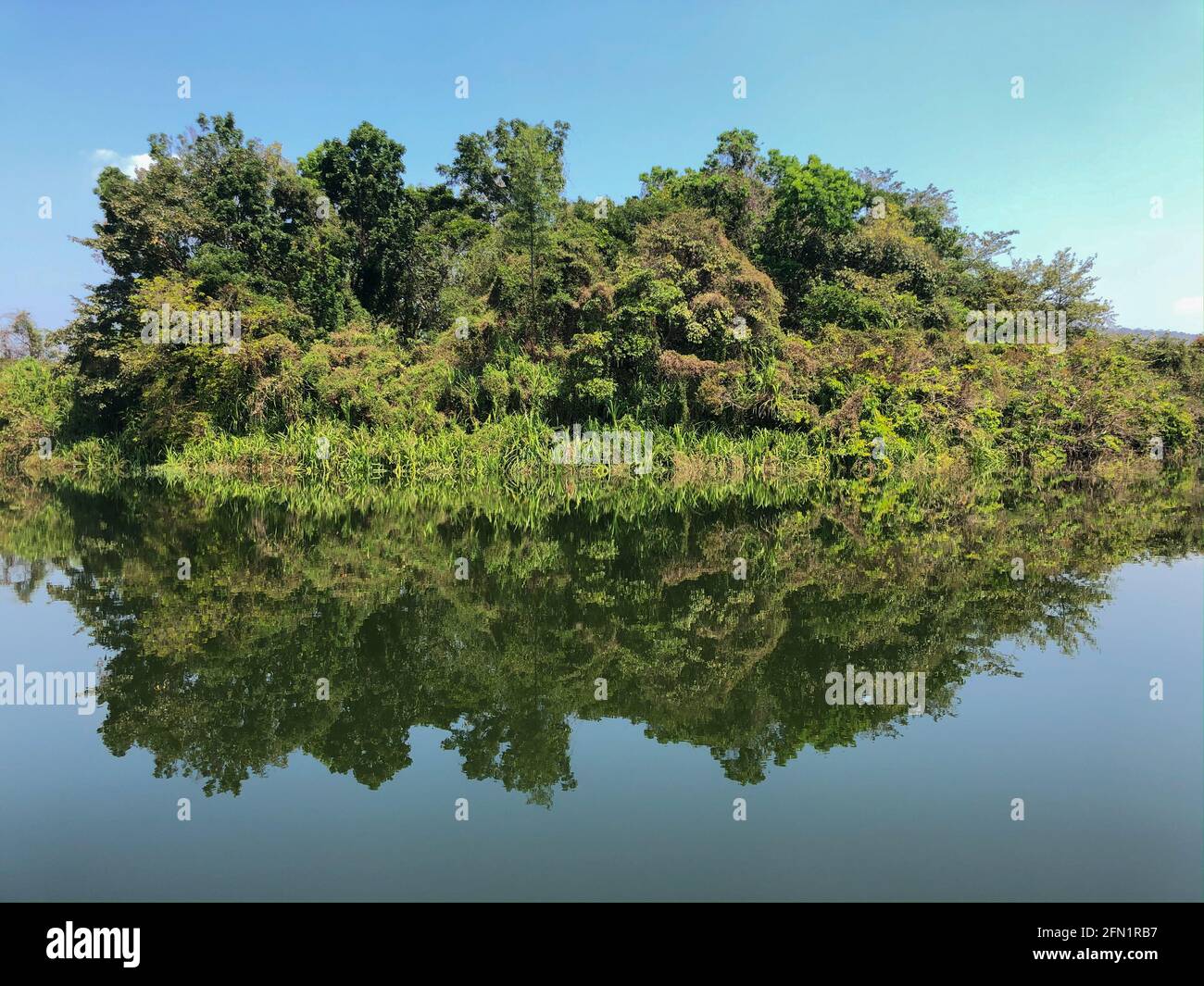Rainforest conservation in kerala hi-res stock photography and images ...