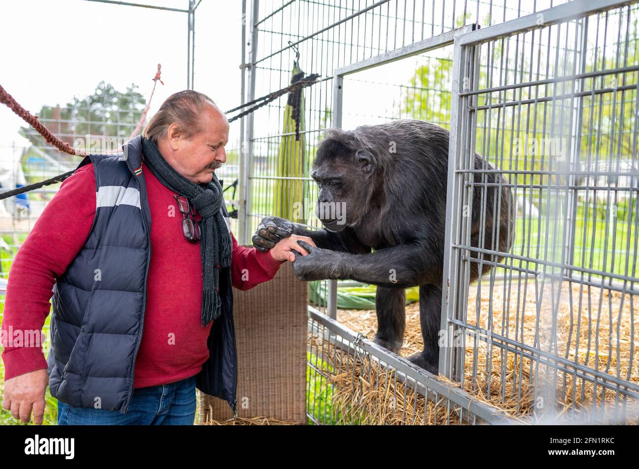 Celle, Germany. 13th May, 2021. Klaus Köhler, director of Circus Belly ...