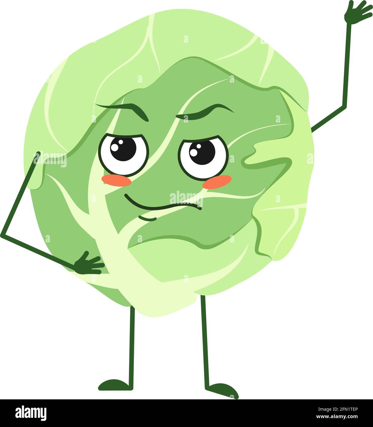 Cute cabbage character with emotions, face, arms and legs. The funny or ...