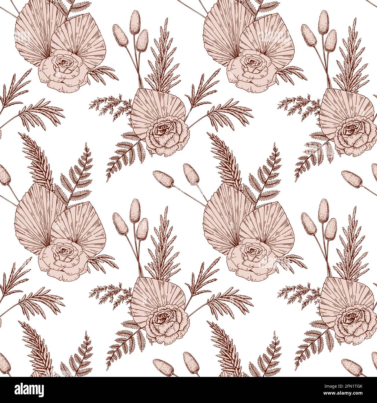 Dry pampas grass in Stock Vector Images - Alamy