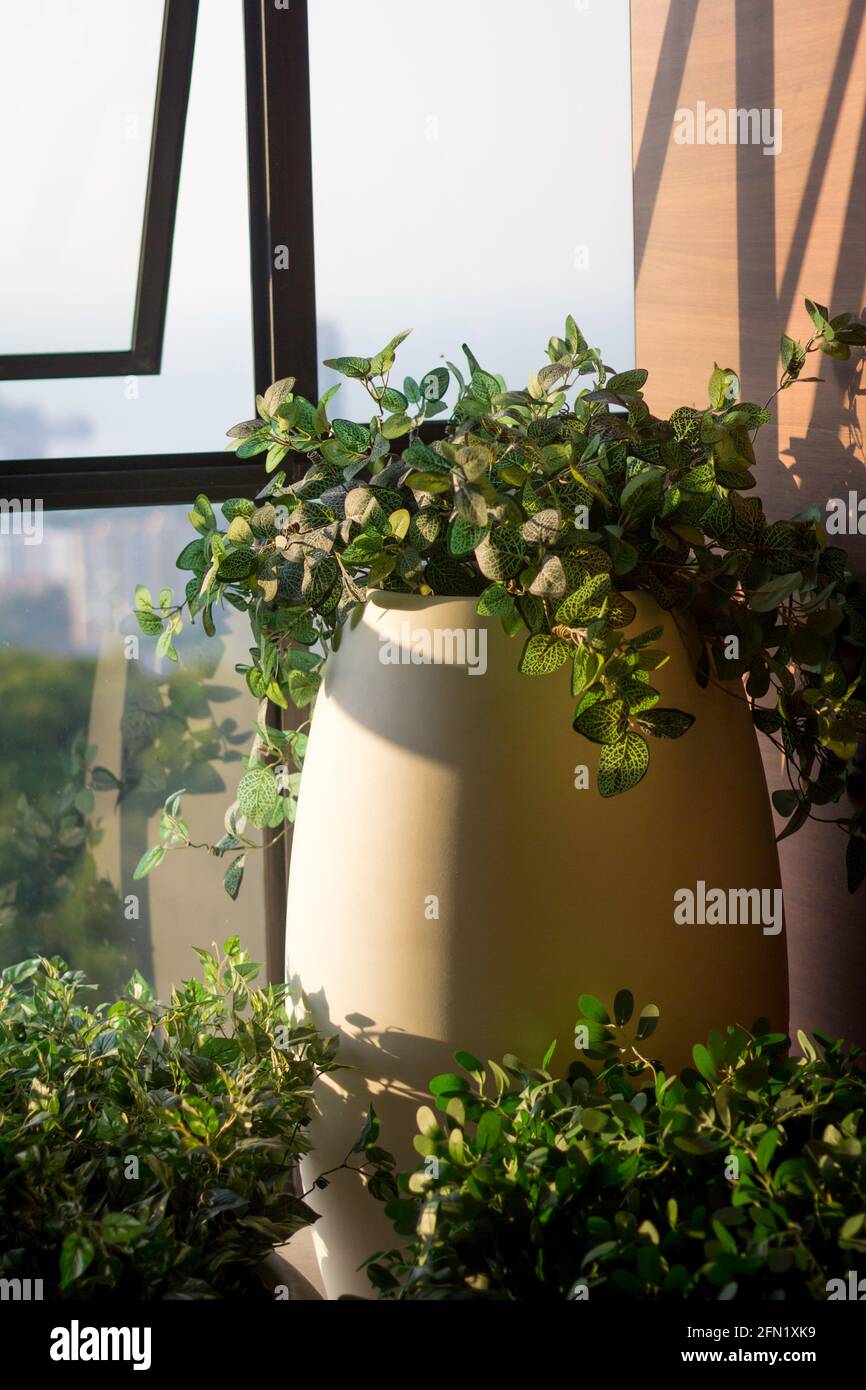 Plant filled structure hi-res stock photography and images - Alamy