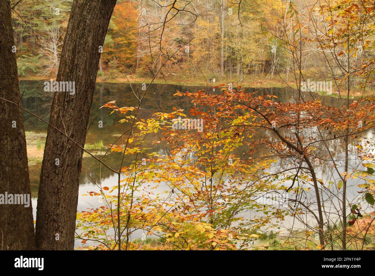 Autumn in the Blue Ridge Mountains, VA, USA. Otter Lake on the Blue ...