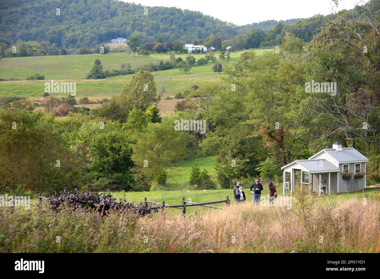 Landscape in Virginia, USA. Visitors at Pippin Hill Farm & Vineyards Stock Photo - Alamy