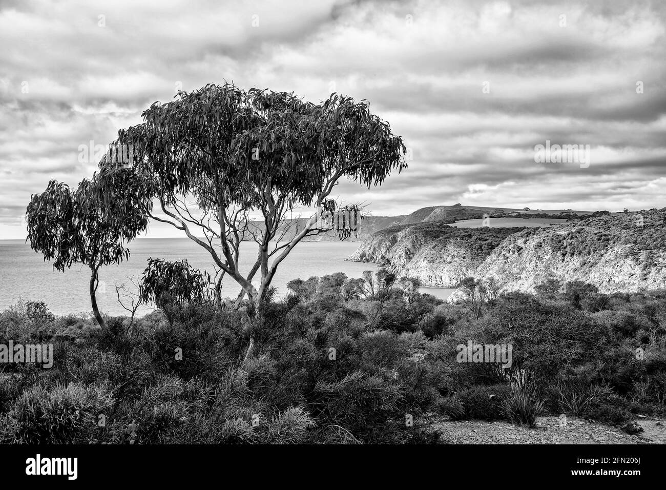 Scott white australia Black and White Stock Photos & Images - Alamy
