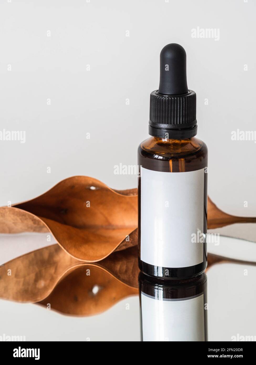 Amber leaf hi-res stock photography and images - Alamy