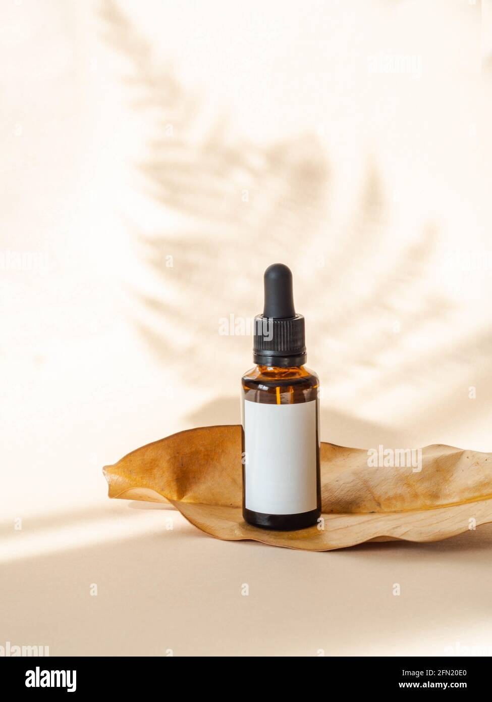 Amber leaf hi-res stock photography and images - Alamy