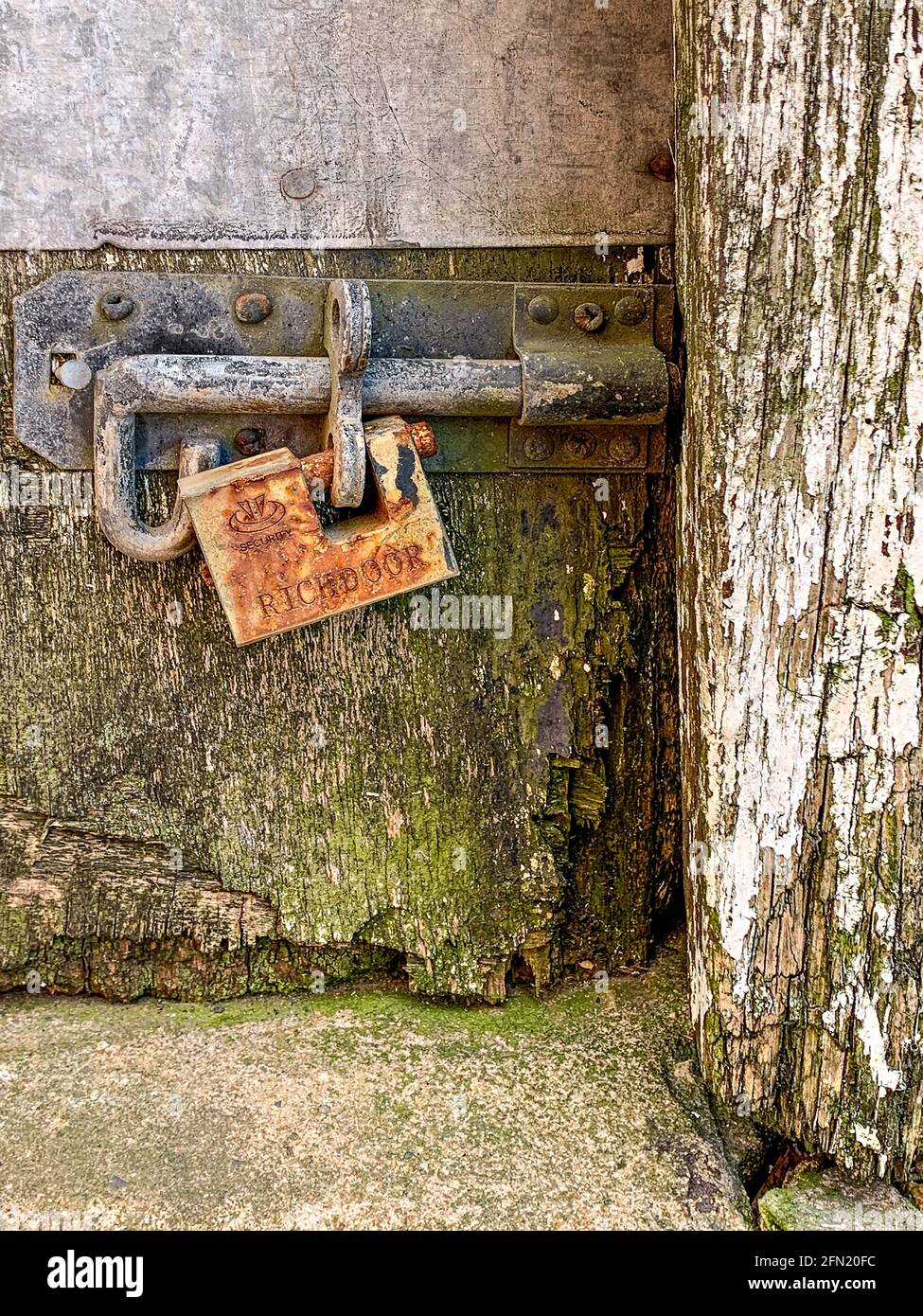 Old rusted padlock fixed to bolt on wooden door Stock Photo - Alamy