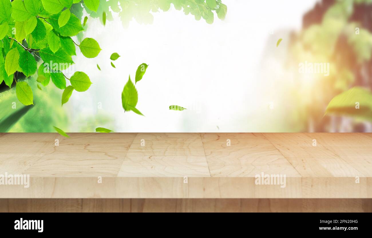 Abstract wood table with leaves and sun light. Wood table top stand for ...
