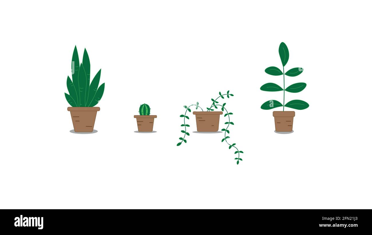 Set of house plans in pots Stock Vector Image & Art - Alamy