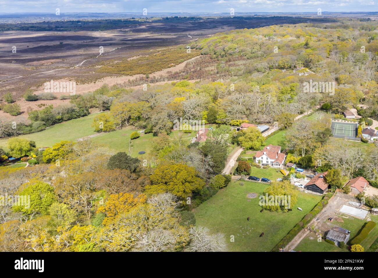New Forest from the air Stock Photo - Alamy
