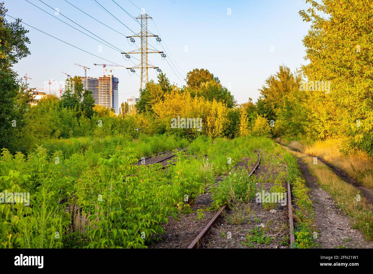 Long train tracks going through a wild field Stock Photo - Alamy