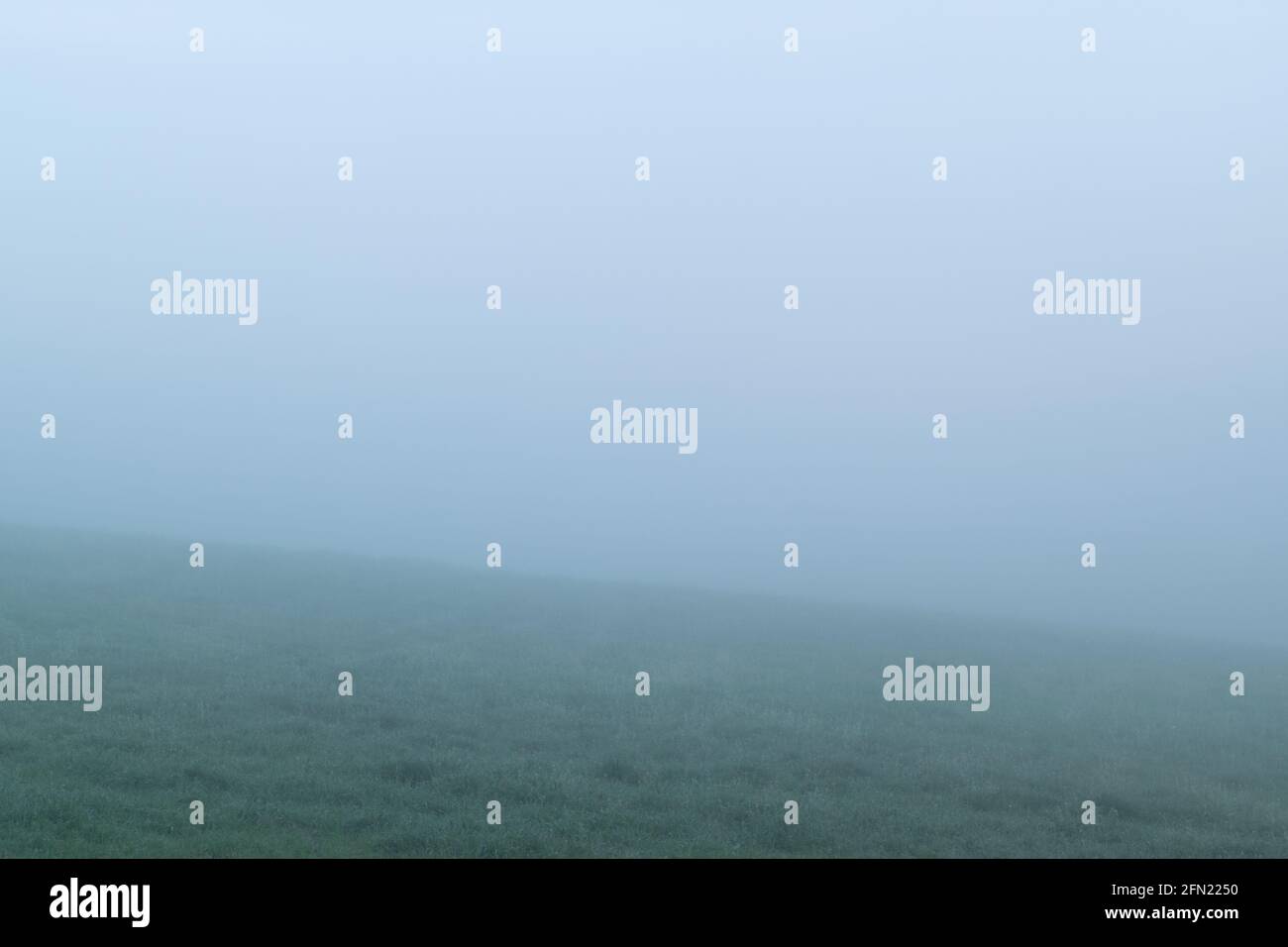 Grass background image hi-res stock photography and images - Alamy