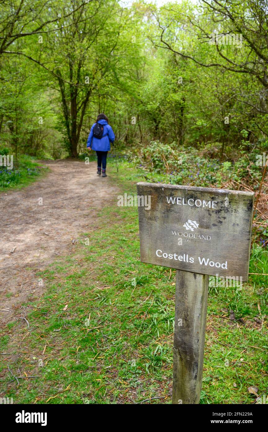 A woman walking past sign to Costells Wood, Scaynes Hill, ancient ...
