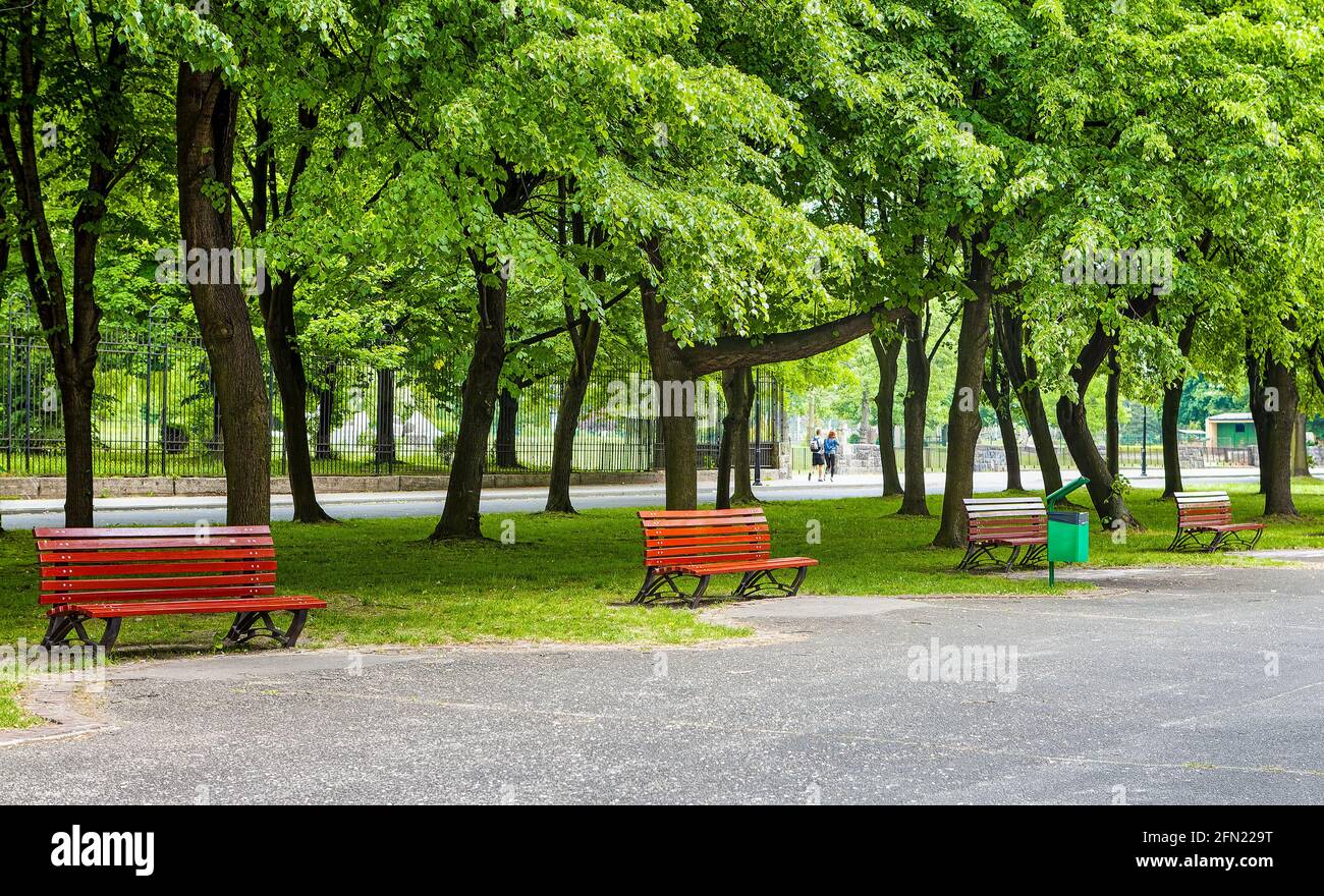 Empty city park trees fresh hi-res stock photography and images - Alamy
