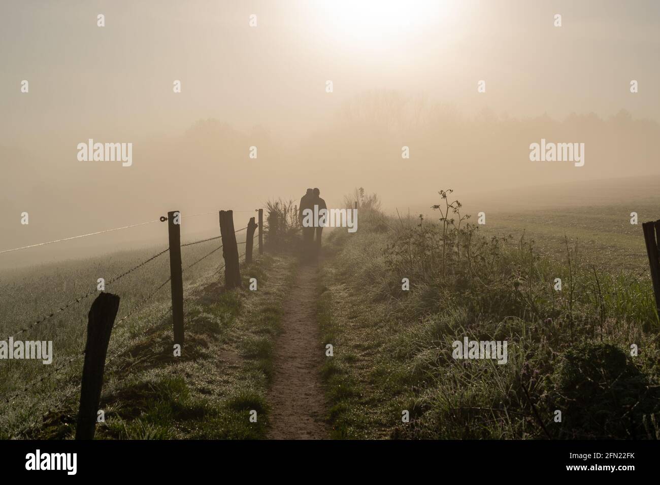 People walking in a forest path during the morning sunrise Stock Photo ...