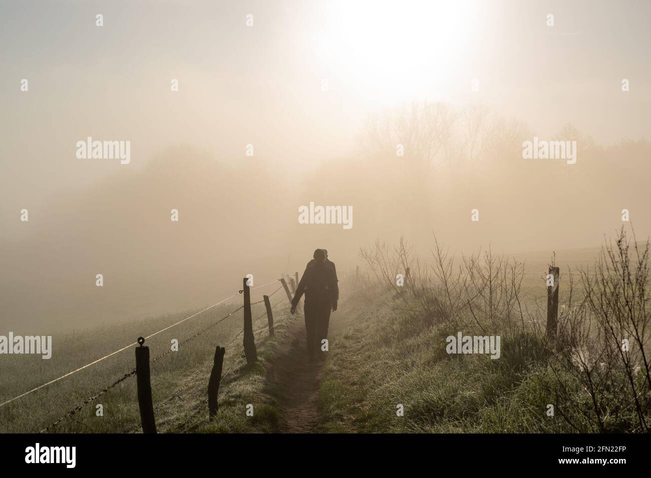 People walking in a forest path during the morning sunrise Stock Photo ...
