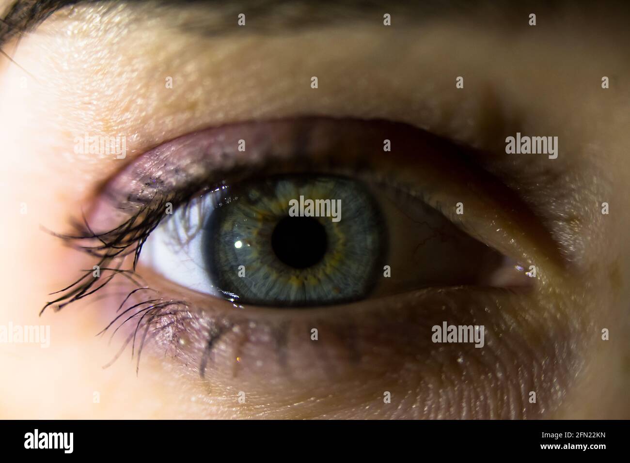 macro photo of a wide-open one human eye, eyeball with dilated pupil ...
