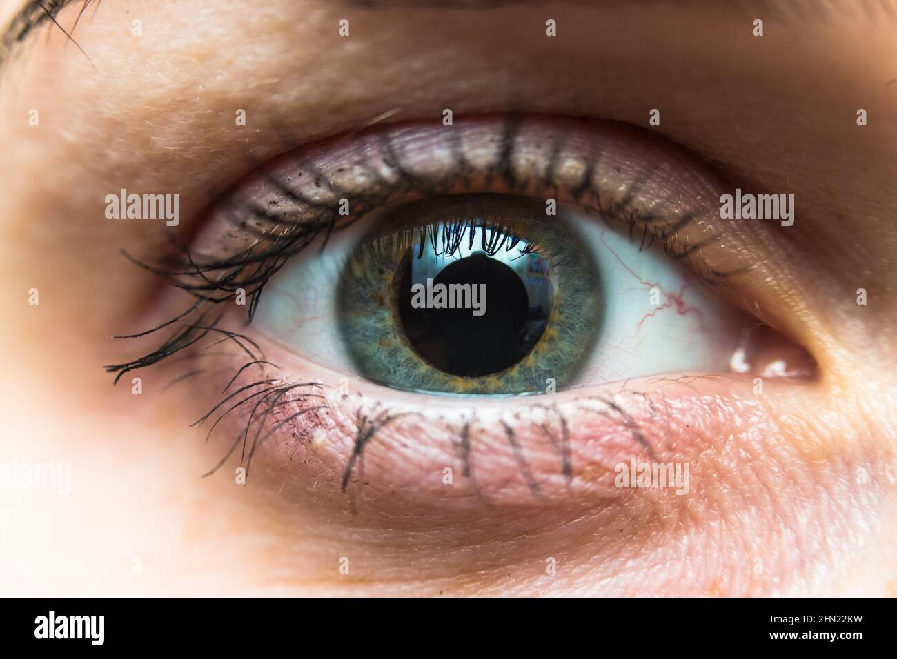 Human eye close up black and white hi-res stock photography and images ...