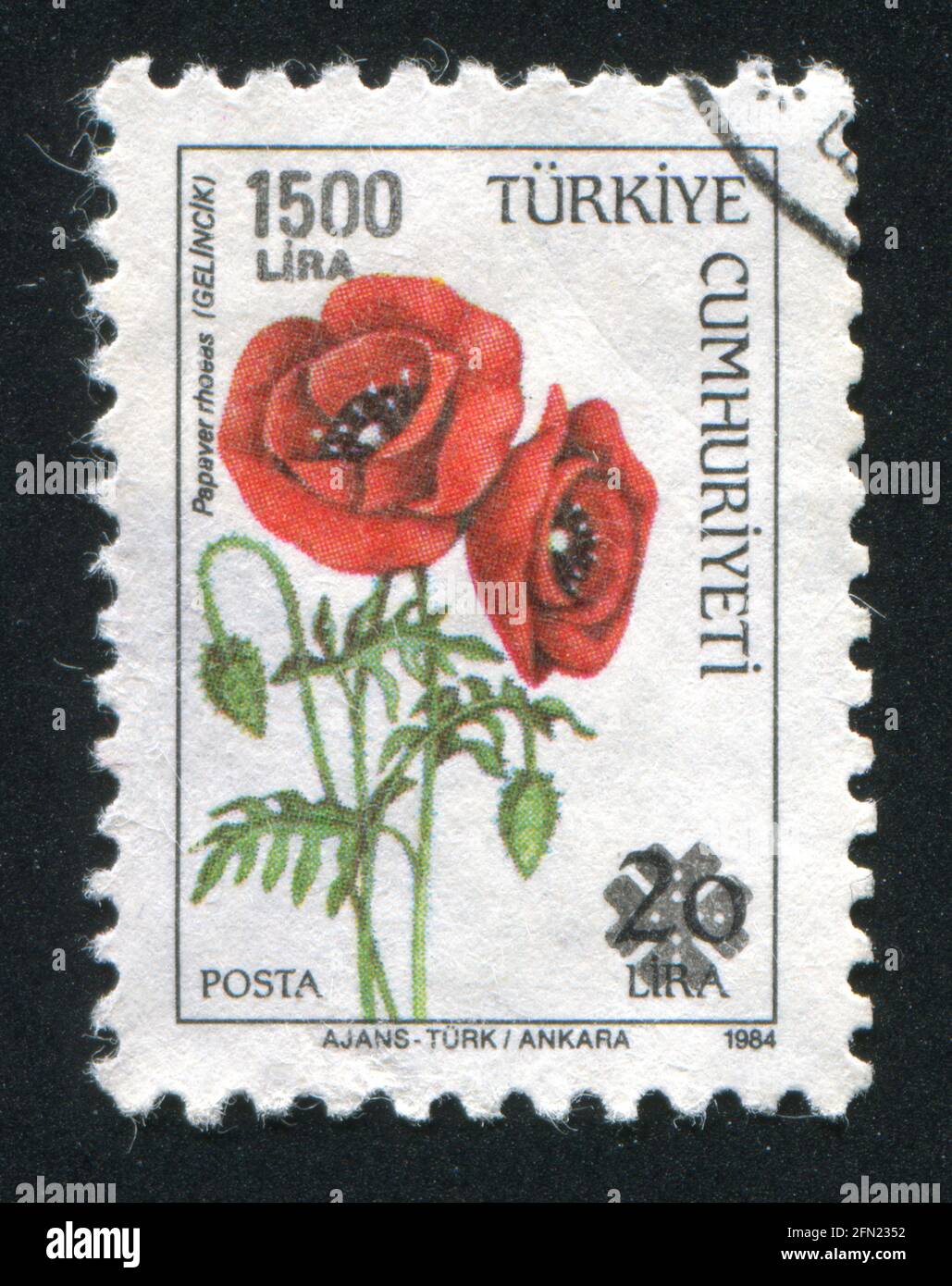TURKEY- CIRCA 1984: stamp printed by Turkey, shows red poppy, circa ...