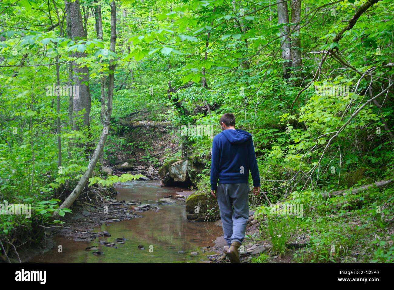 Walking by a creek hi-res stock photography and images - Alamy