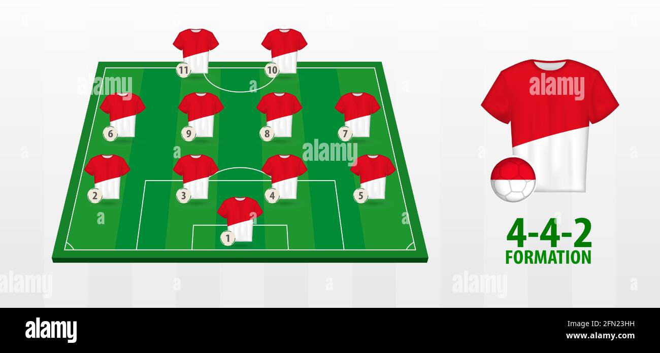 Monaco National Football Team Formation on Football Field. Half green ...