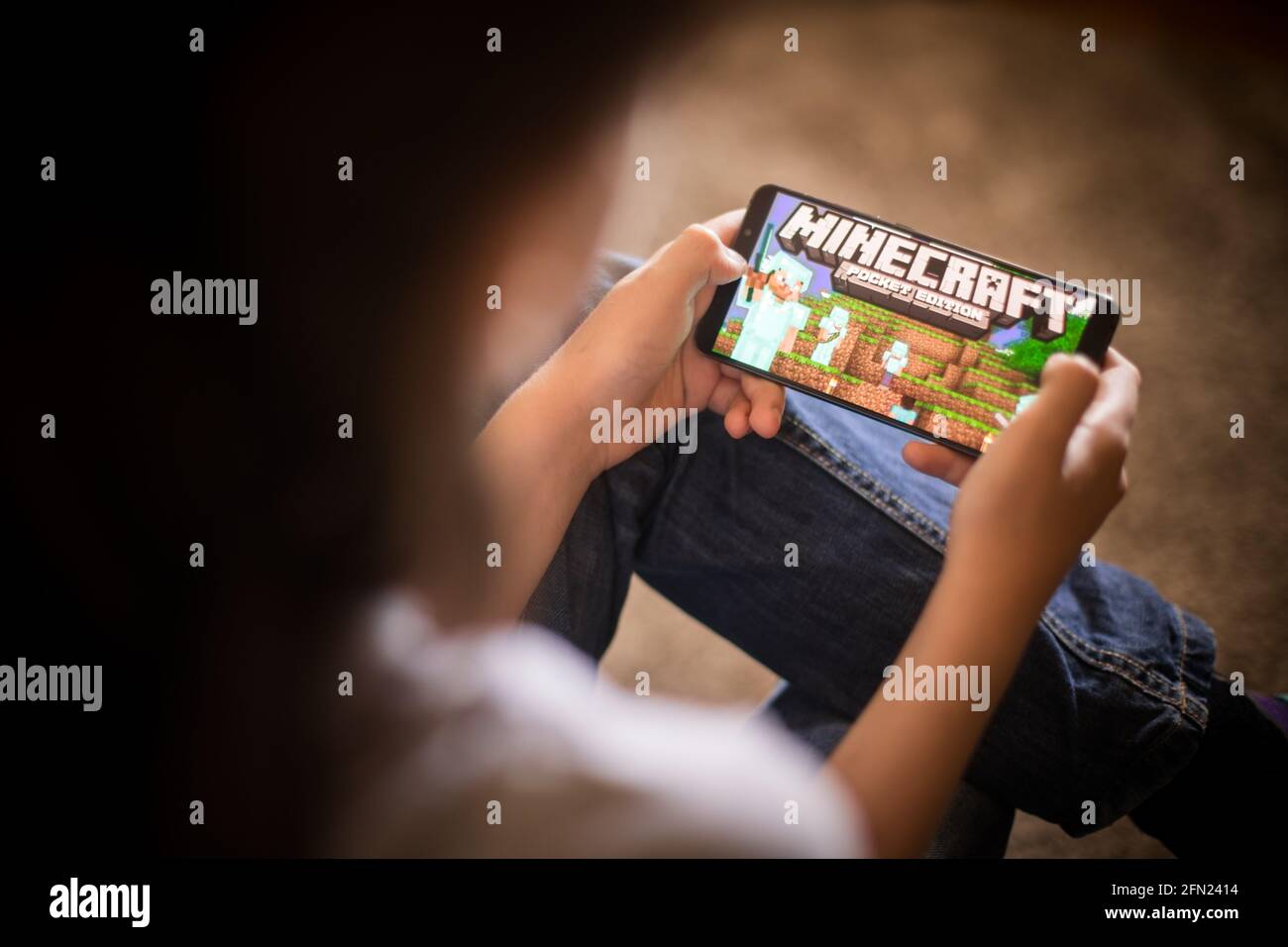 Minecraft popular online game hi-res stock photography and images - Alamy