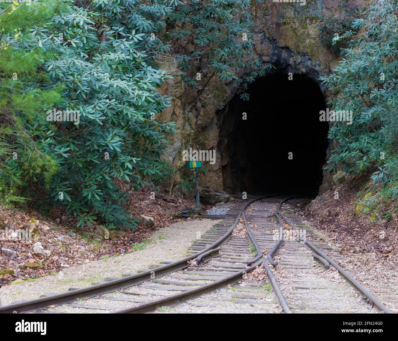 Doe river gorge hi-res stock photography and images - Alamy