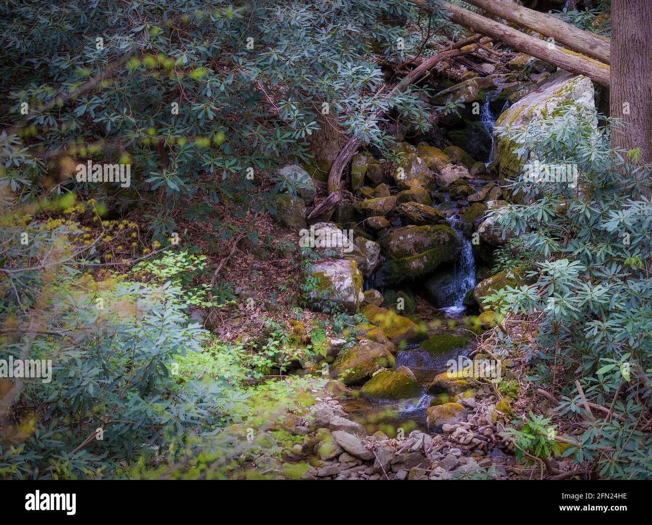 A small waterfall runs downhill along the Doe River Gorge railroad ...
