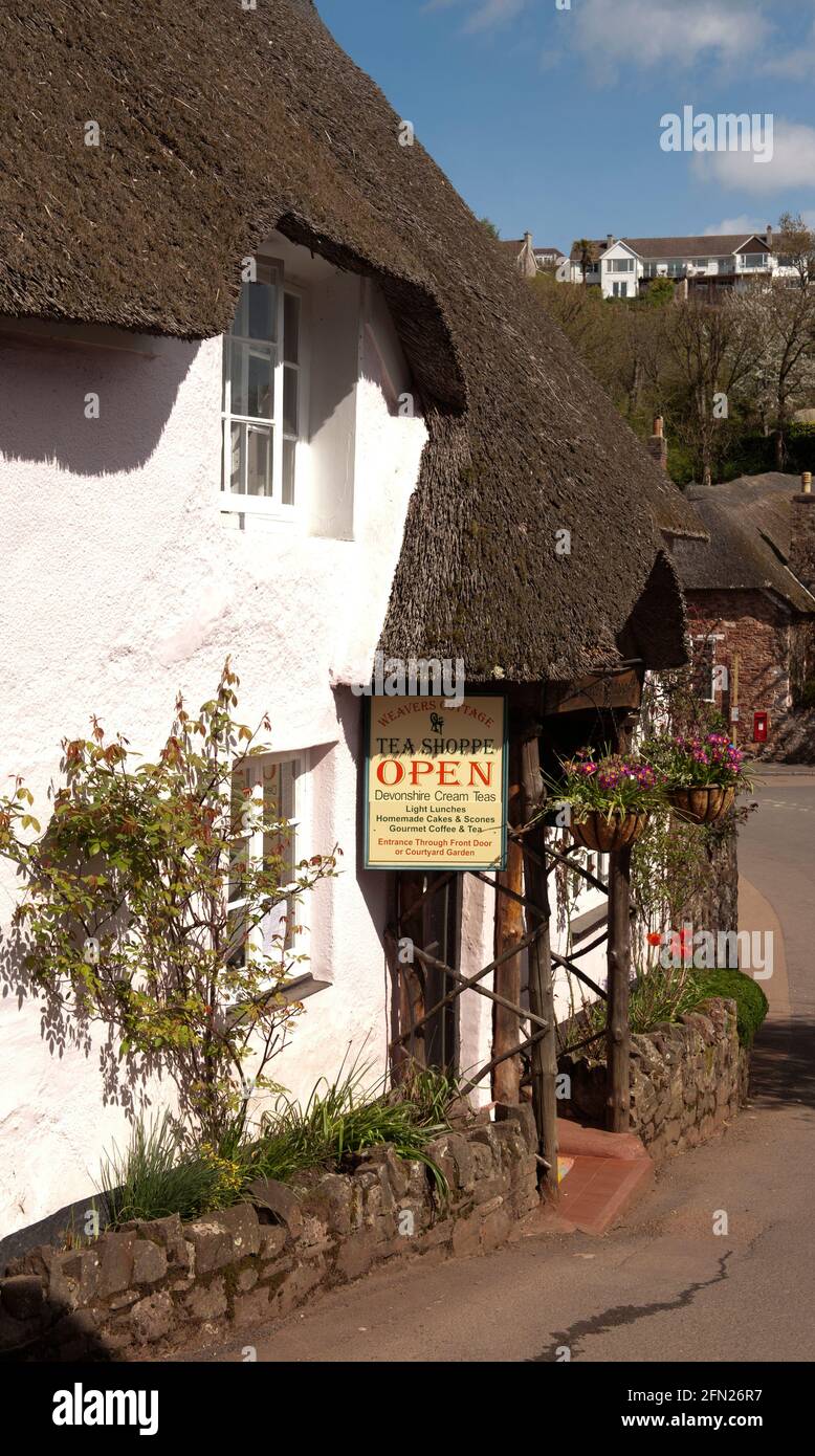Thatched Cottages Cockington Village Devon Stock Photo - Alamy