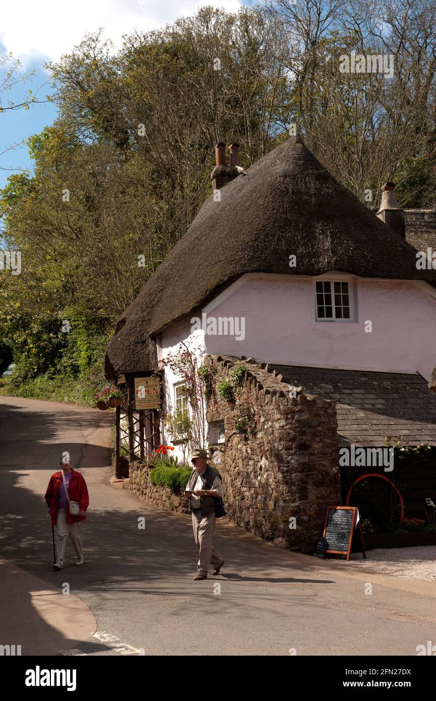 Thatched Cottages Cockington Village Devon Stock Photo - Alamy