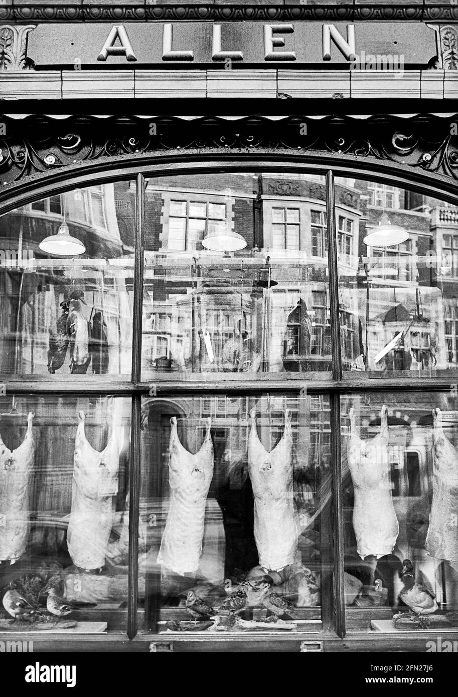 Shop window of the famous butcher store Allens of Mayfair in Mount ...