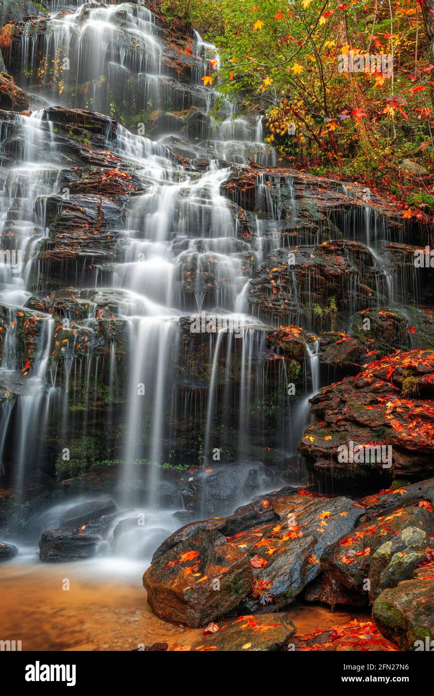 Sumter national forest hi-res stock photography and images - Alamy