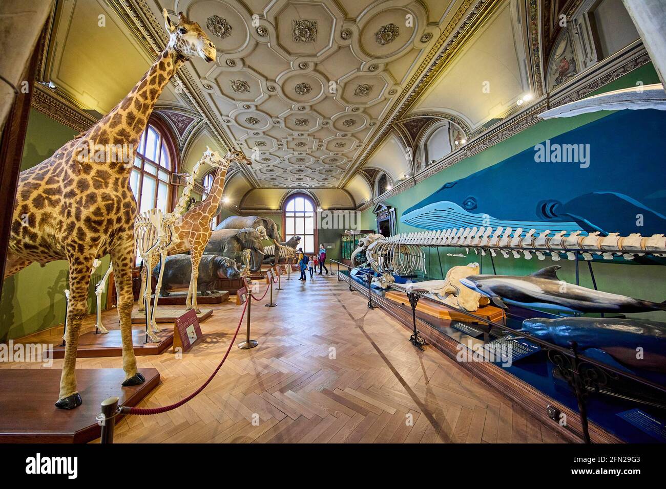 Restrict measures hi-res stock photography and images - Alamy