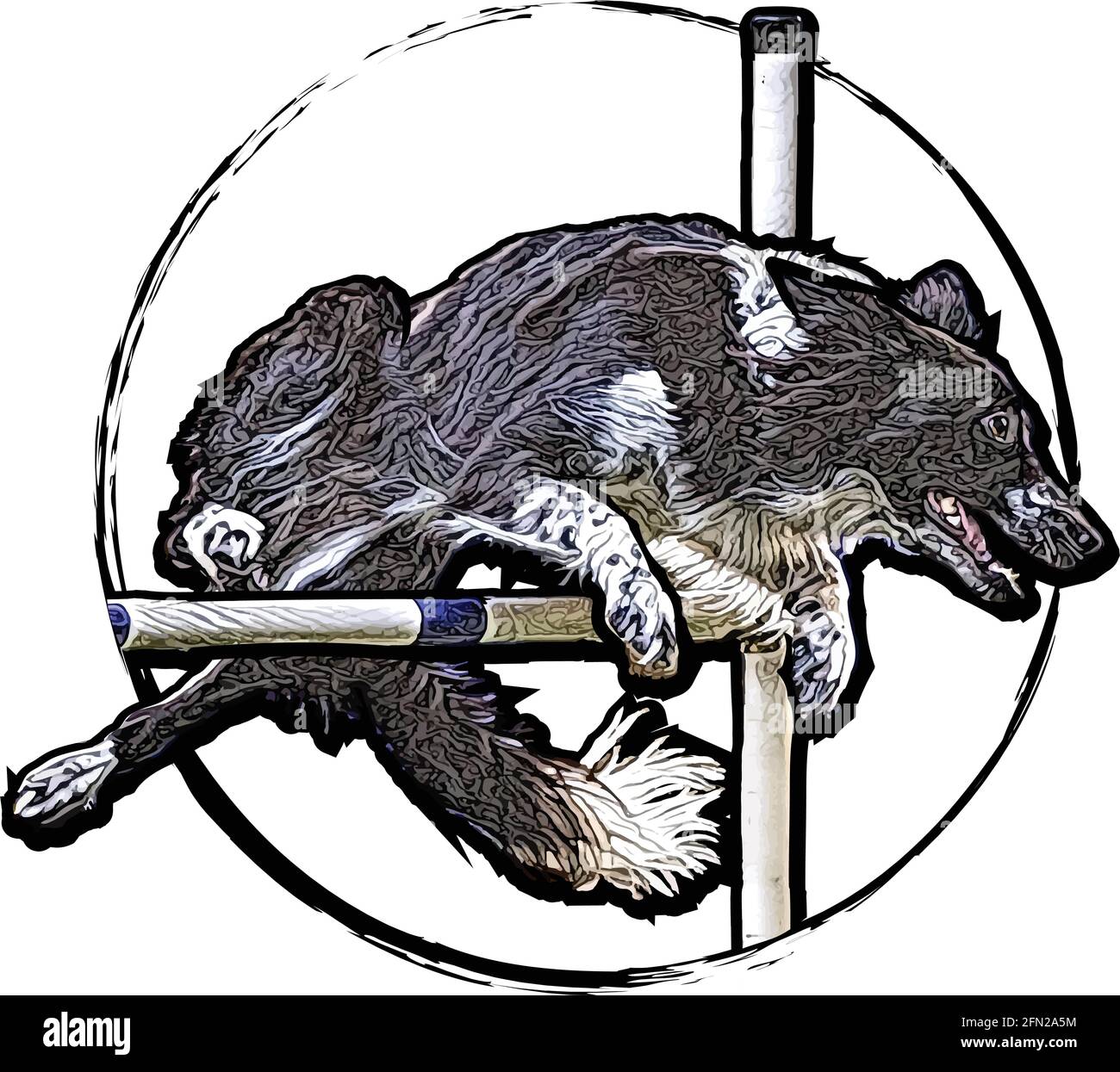 Active border collie Stock Vector Images - Alamy