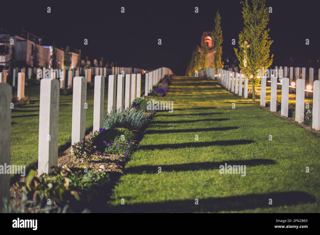 Closeup shot tree cemetery hi-res stock photography and images - Alamy
