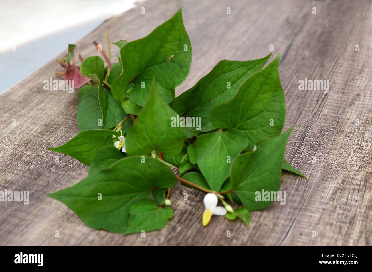 Acetaldehyde hi-res stock photography and images - Alamy