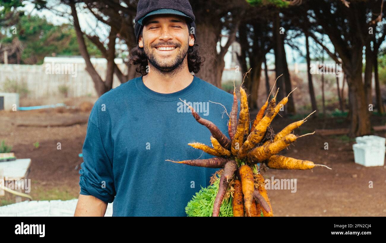 portrait of very happy and smiling farmer, with carrots in his hand of ...