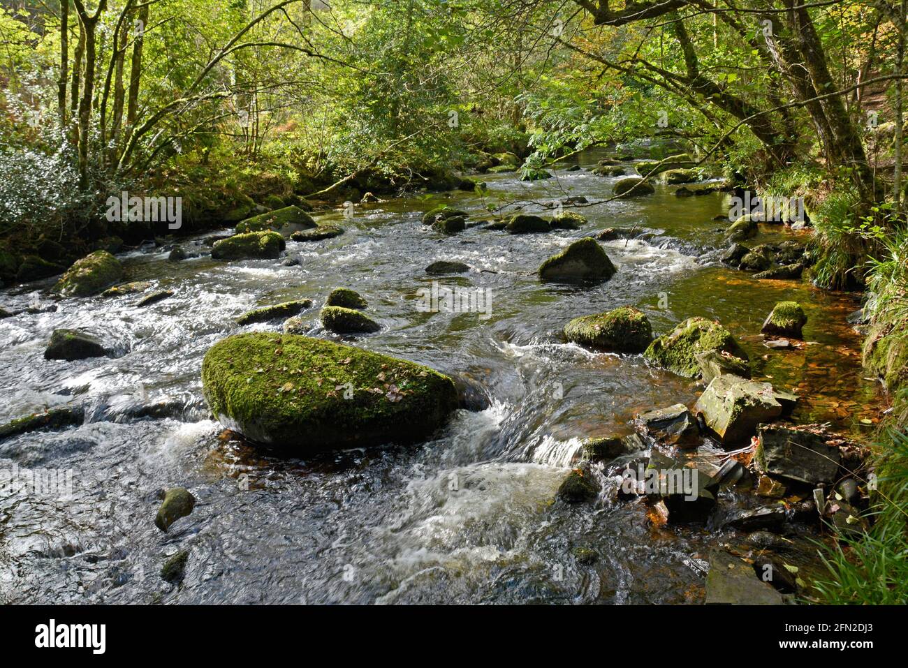 Attractive stretch of the River Teign near Castle Drogo, Devon Stock ...