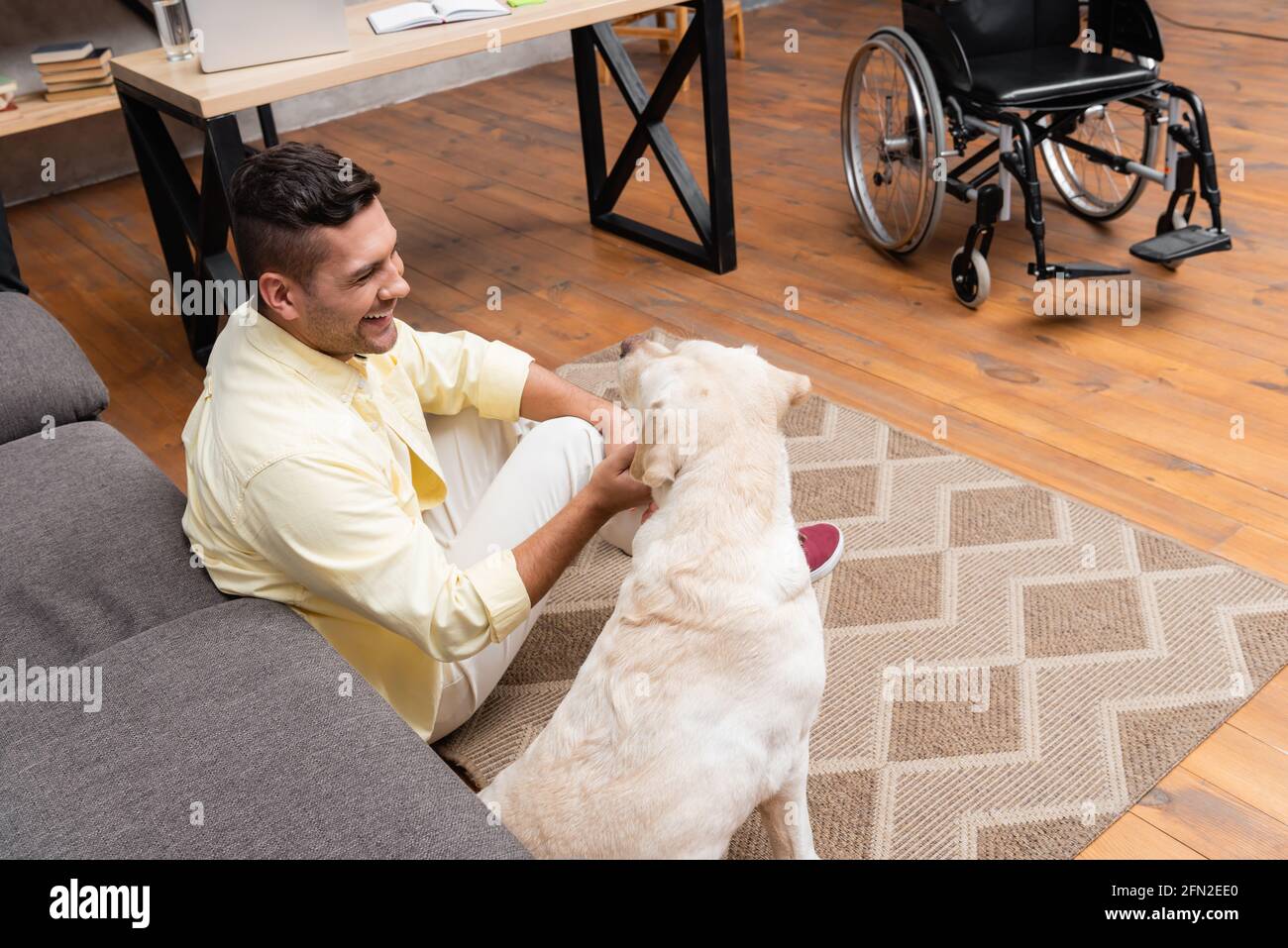 disabled man sitting on floor near wheelchair and stroking labrador dog ...