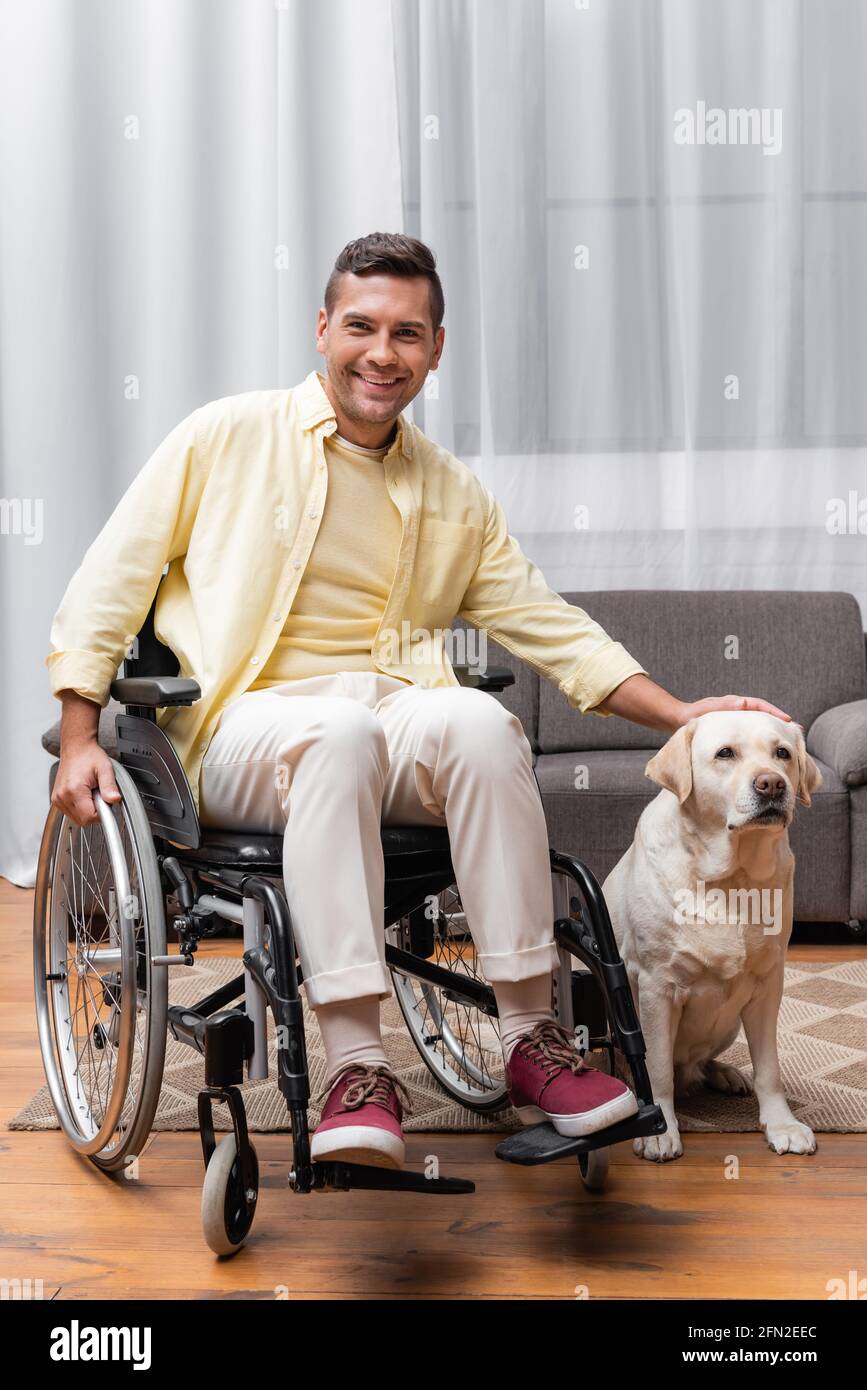 disabled man in wheelchair smiling at camera while petting labrador dog ...