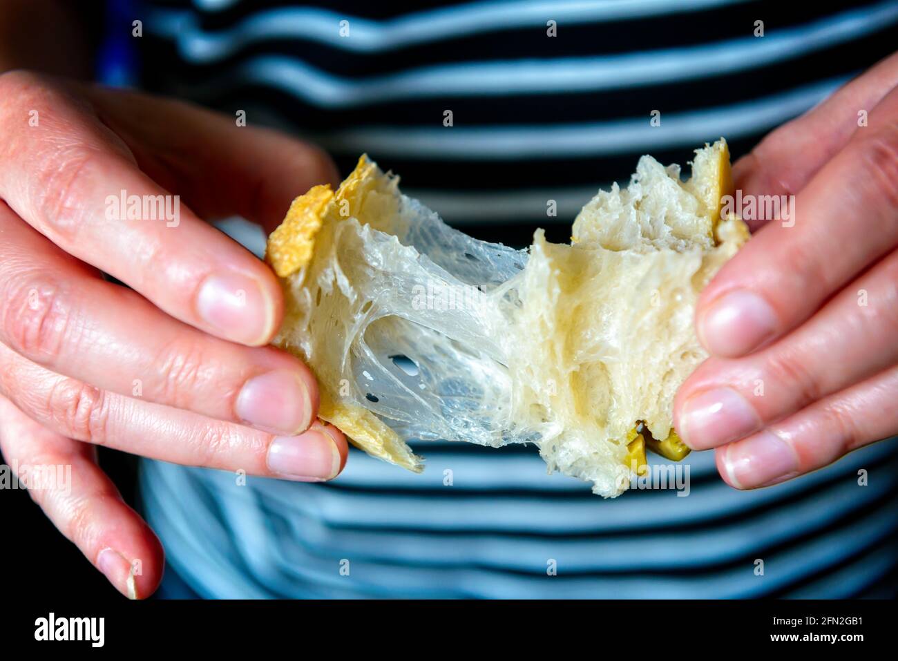 Example of bread made from flour rich in gluten. Tradiional Italian ...