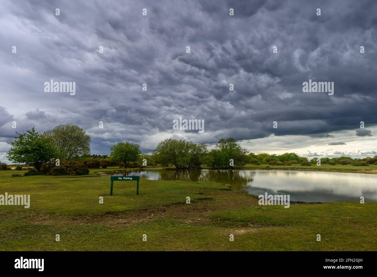 Janesmoor Pond, Fritham, New Forest, Hampshire, UK, 13th May 2021 ...